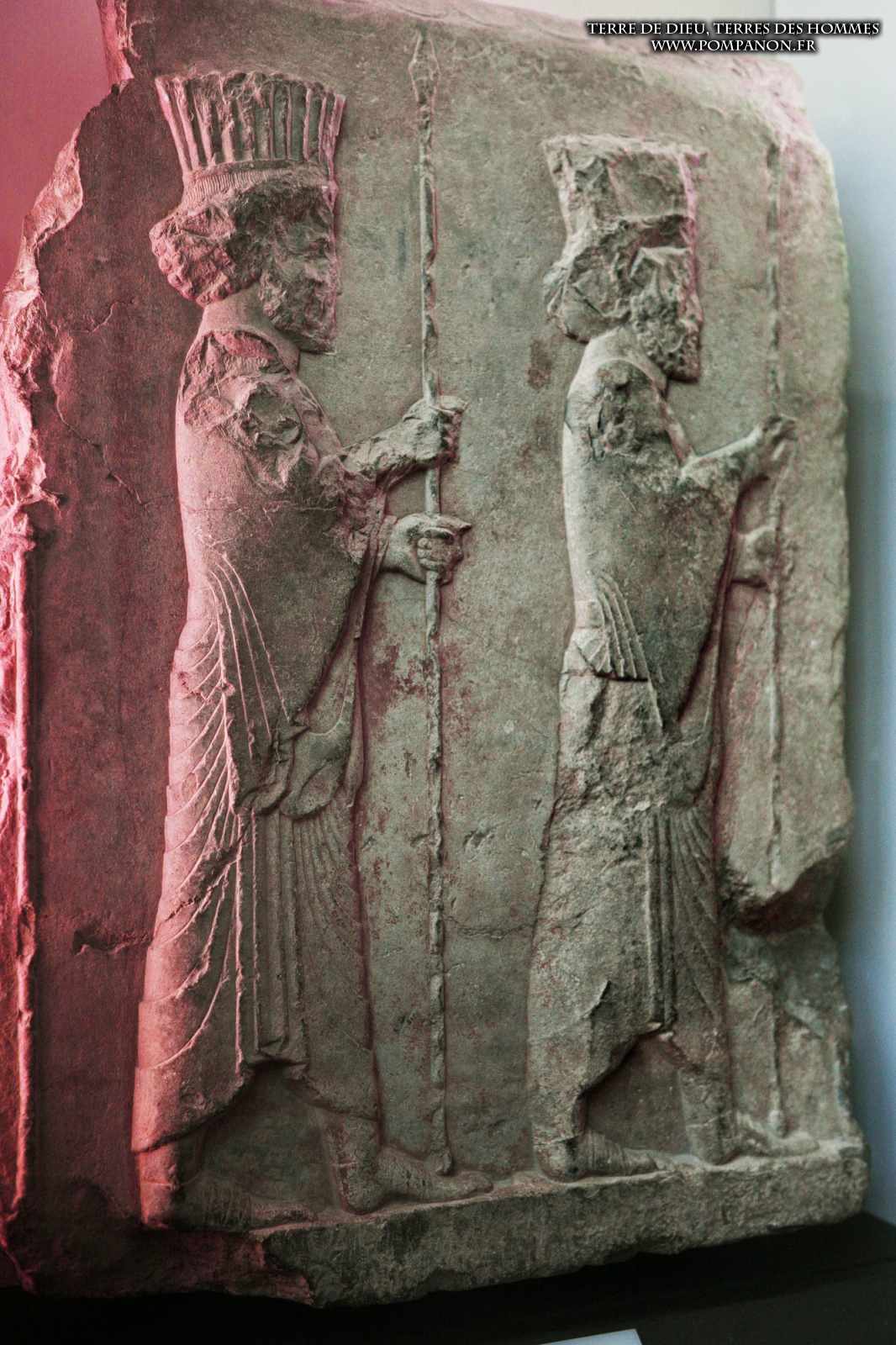 1 - Perse | Pompanon.fr