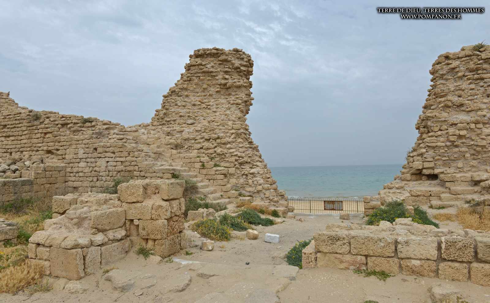 11 Ashdod | Pompanon.fr